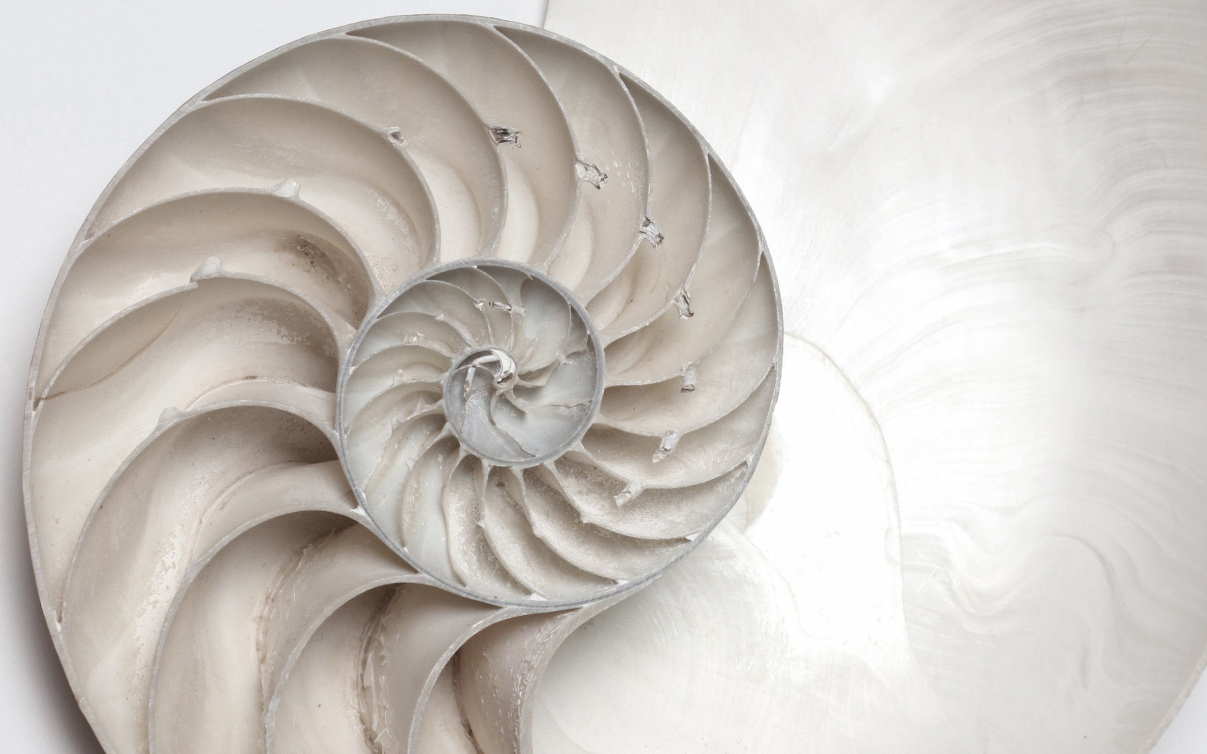 Archive | Paul Warrener Creative